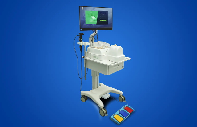 Bronchoscopy Operation Training Simulator: preclinic-sim
