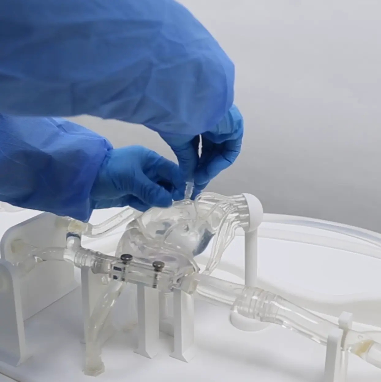 Cardiac Veins Simulation Model (Pacemaker Electrode Implantation ...